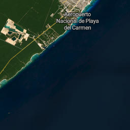 Cozumel raccoon geographic range : Scribble Maps